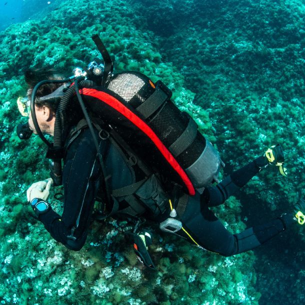 Seac BCD Modular one size - BCD - Diving 2000